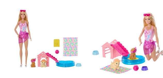 Barbie Puppy Pool Party Aloha Blonde Doll Playset — ToyWauchope