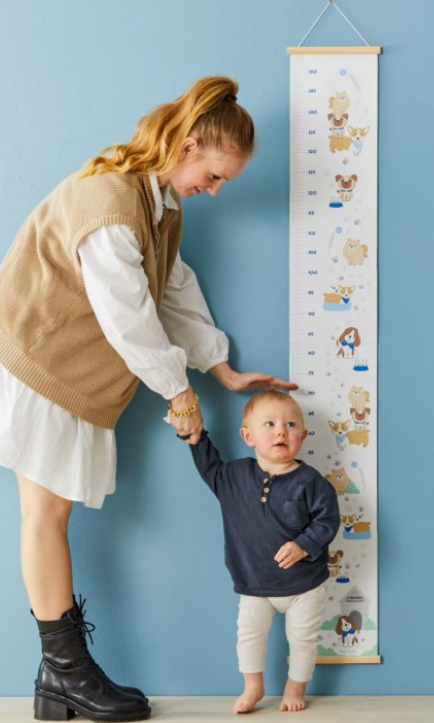 See Me Grow Height Charts Assorted Design — ToyWauchope